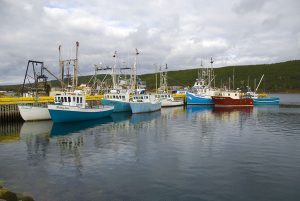 6 Things to Do on The Irish Loop - Newfoundland Times